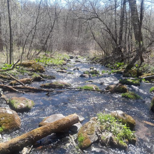 What is The Flowage? – The Flowage