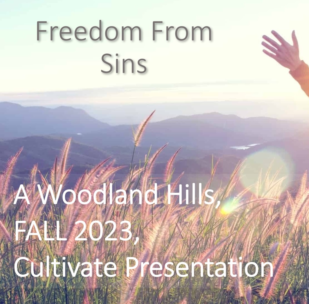 “Freedom from Sins” course (online) – The Flowage